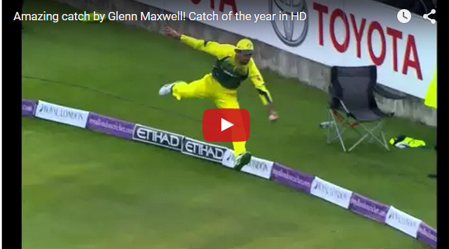 Amazing Catch By Glenn Maxwell! Catch Of The Year
