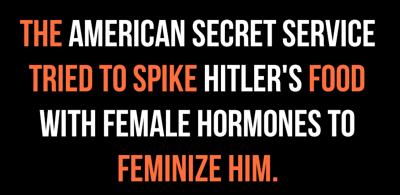 11 Facts You Didn't Know About Hitler