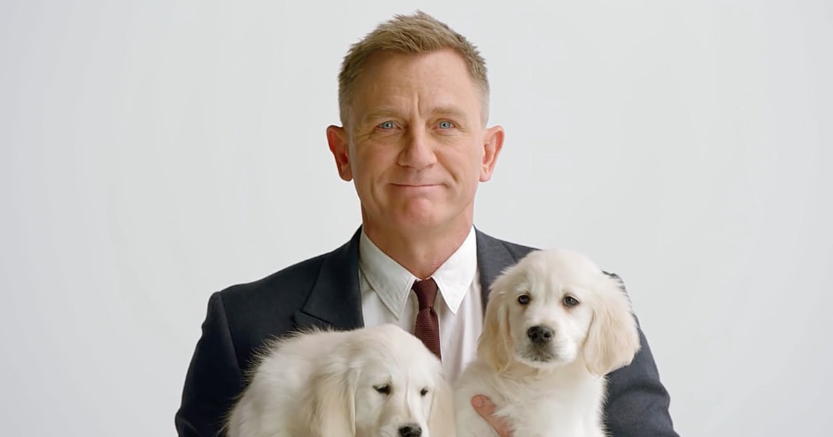Not Just James Bond: 5 Underrated Daniel Craig Movies