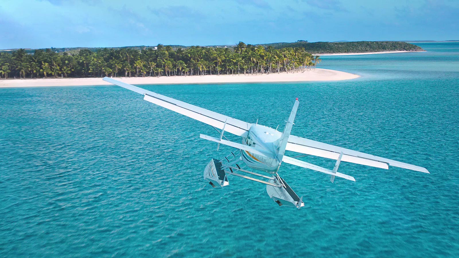 Apparently, Bahamas has a Beach Where Pigs Float Freely