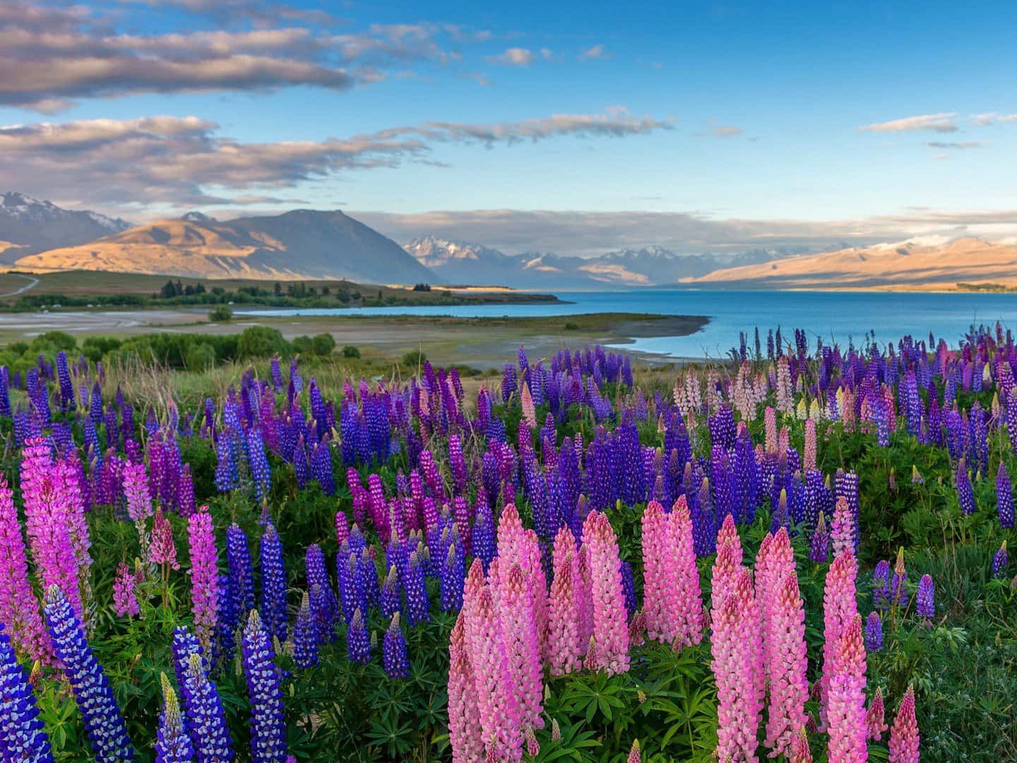 Check Out These Beautiful Images Of Spring Across The World