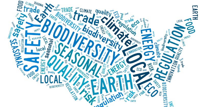 Which Are Some Of The Leading Sustainability Projects In USA