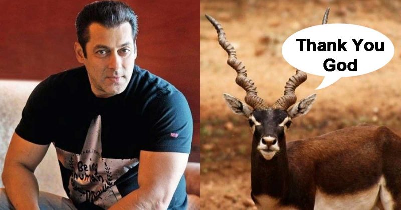Salman Khan Convicted In Blackbuck Poaching Case And Here’s How ...