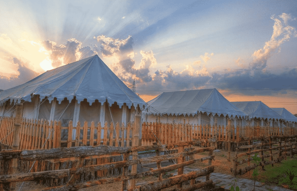 Best Wildlife Resorts In Assam To Know