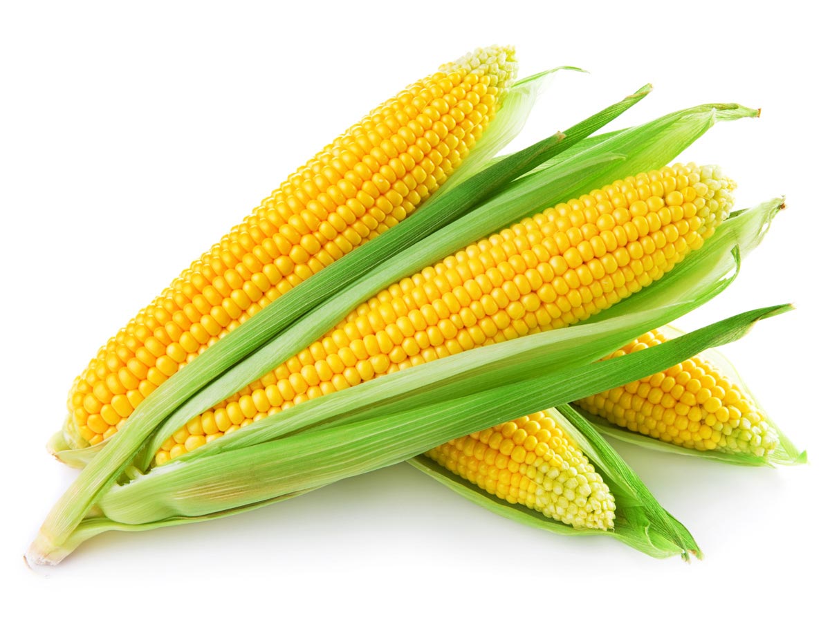 10 Most Dangerous Food Allergies