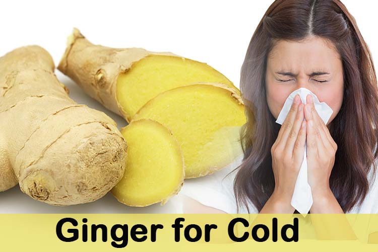Understand who ginger is used for cold treatment! Find it out here!