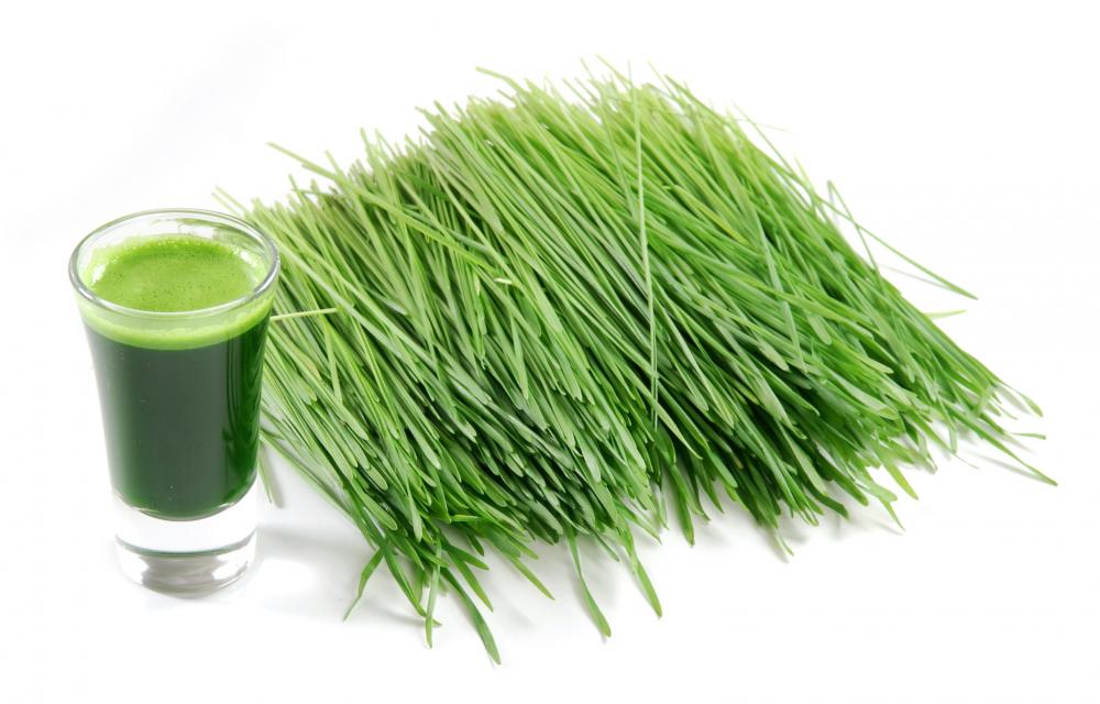 Don't go lazy on Wheatgrass juice? In fact, resort to it now, unlock ...