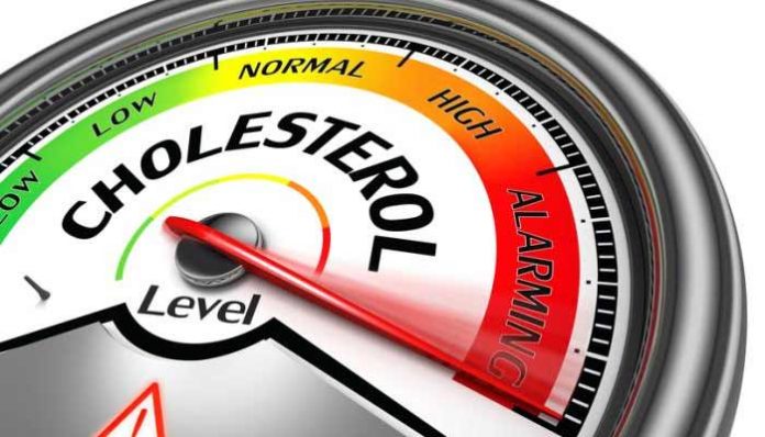 What Is Cholesterol? | Understanding Cholesterol Levels | HDL and LDL