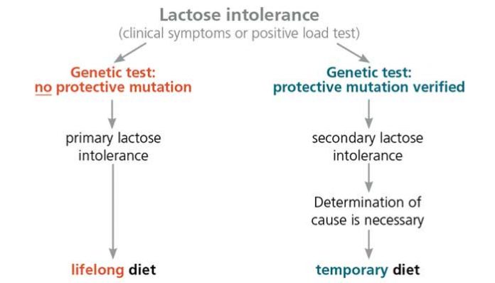 Lactose Intolerance | How do You Find Out if Your Lactose Intolerant?