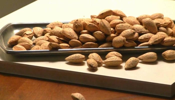 9 Types of Almonds That Are Available And Their Health Benefits
