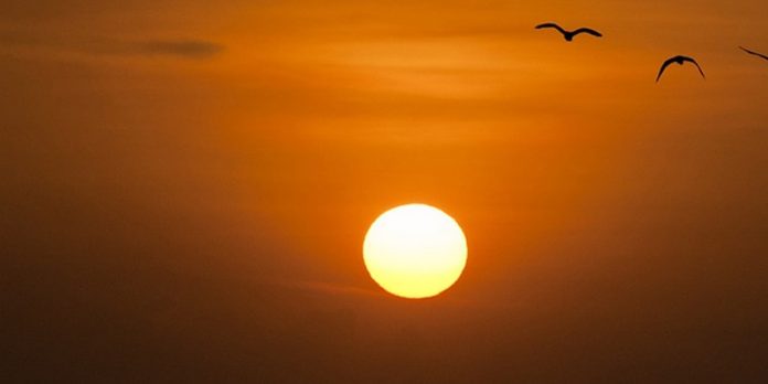 What is The Color of The Sun? | Why Sun Appears Yellow?