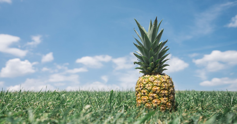 What are The Benefits of Pineapple | When should I eat pineapple?