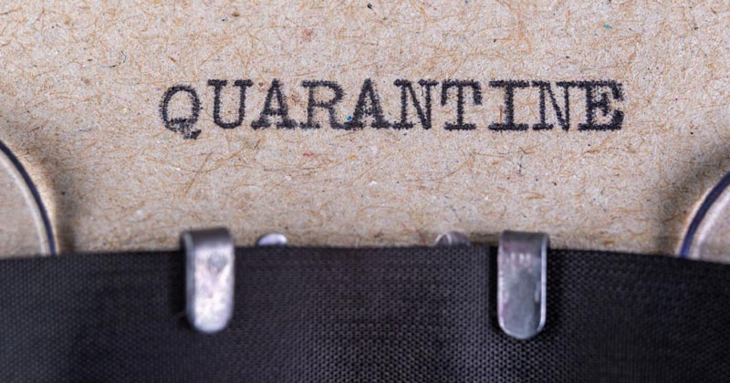 Things To Do During Quarantine | Home Activities For Coronavirus Quarantine