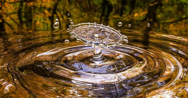 Why Is Water Essential For Life? | Impportance Of Water