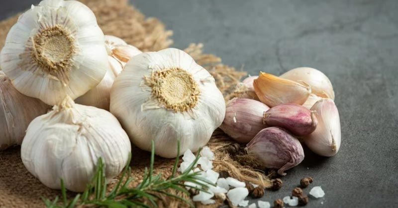 What are the Benefits Of Garlic? How Much Garlic Should You Eat a Day?