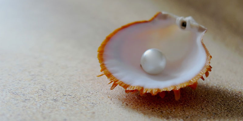 How Are Pearls Formed - Why Is a Pearl So Valuable?