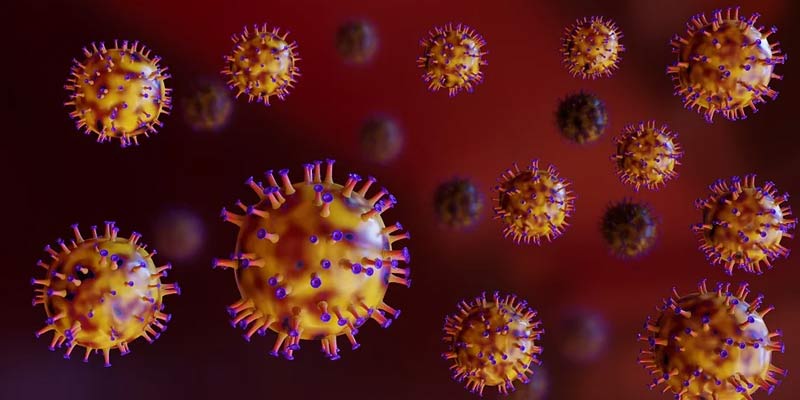 Here is everything you need to know about Viruses.