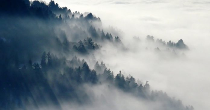 How Is Fog Formed? What Causes Fog In The Morning?