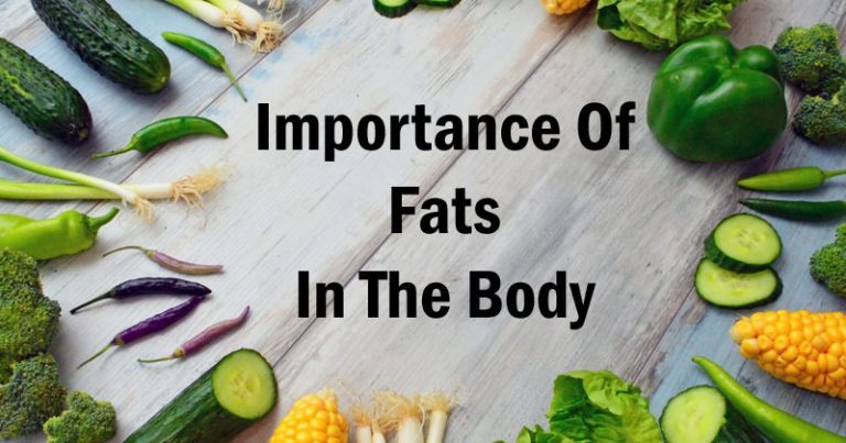 Importance Of Fats In The Body? Healthy Fat vs Bad Fat. Let’s Find Out.