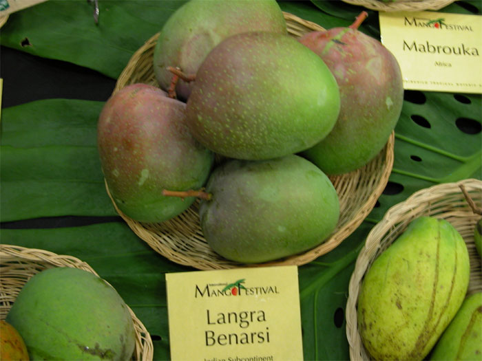 A True Mango Fan? You Need To Know About Different Types Of Mango