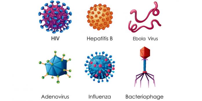 Here is everything you need to know about Viruses.