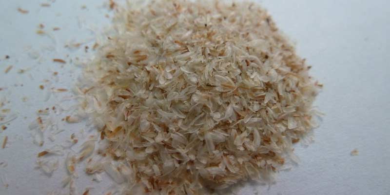 Health Benefits of Psyllium Husk | Isabgol Husk Powder Uses