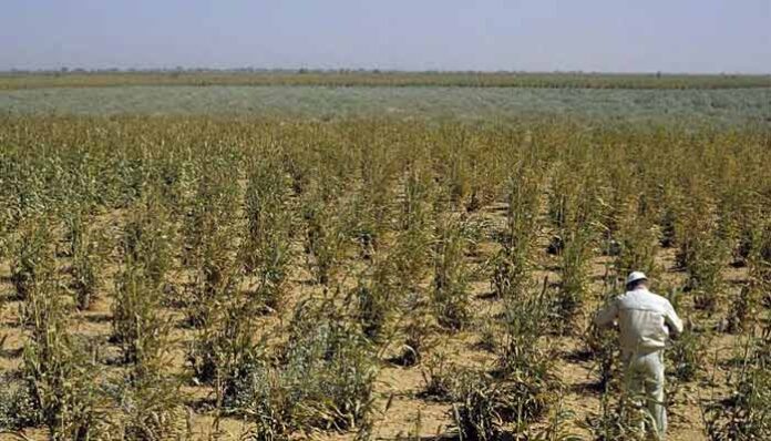 How Did The Sand Get Into The Sahara Desert?