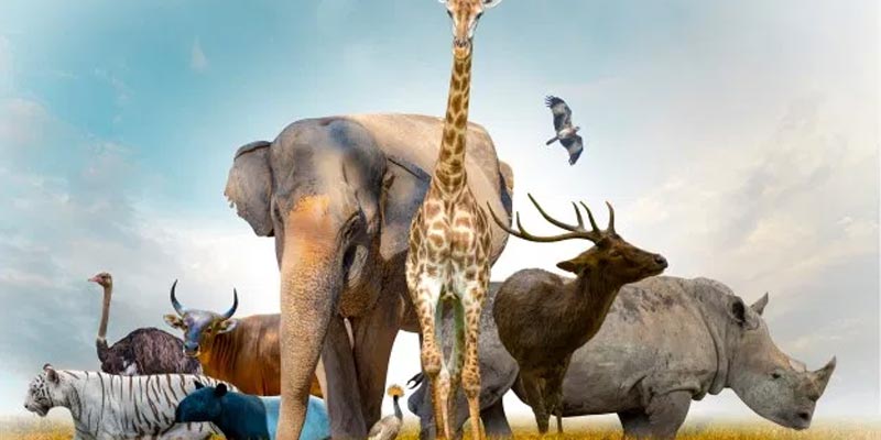 Oldest Animal On Earth | Oldest Living Thing On Earth