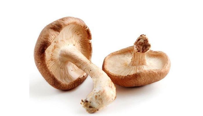 5 Types of Edible Mushrooms And Their Health Benefits