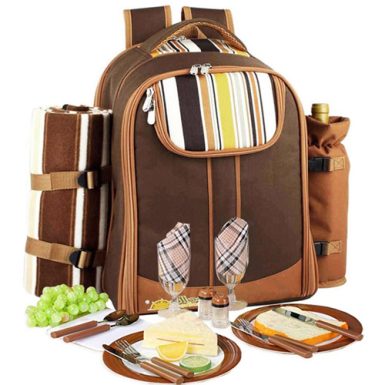 Best Picnic backpacks For 2 and 4 | Picnic Backpacks 2022