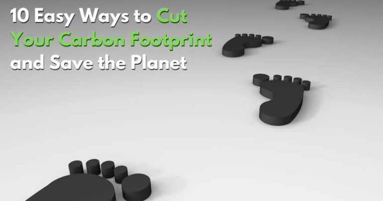 How to Reduce Your Carbon Footprint: Tips for Sustainable Living