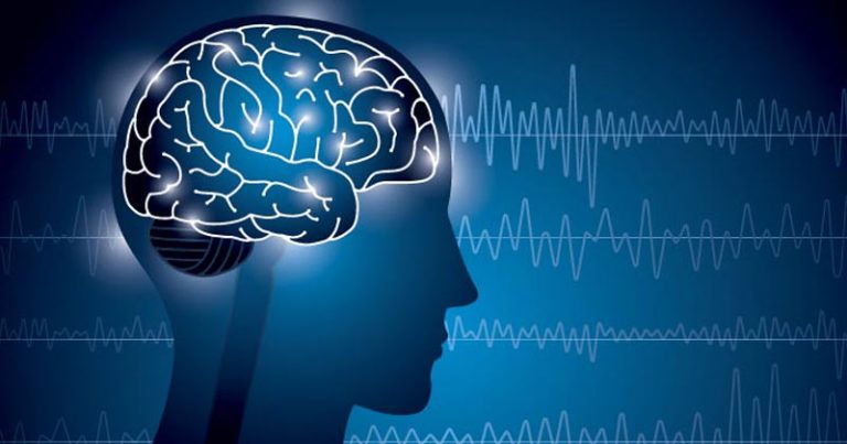 The Science Behind Mindfulness Meditation and Its Effects on the Brain