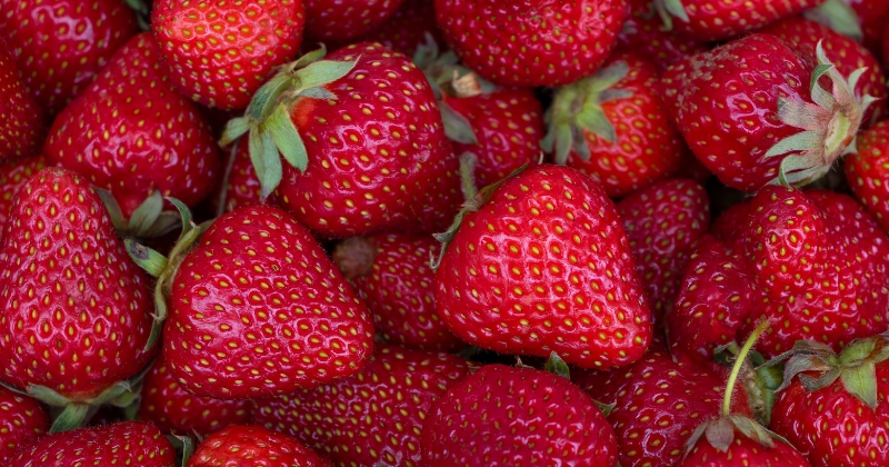 Strawberry Benefits | Strawberry Nutrition Facts | Vitamins