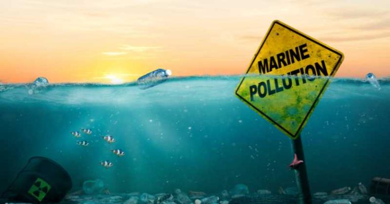 Impact of Plastic on Environment | How to Reduce Plastic Pollution